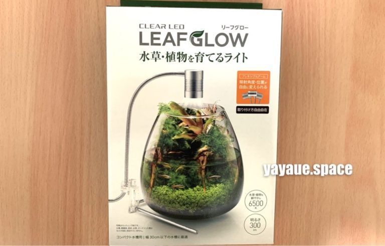 【水槽用の照明】ジェックスのクリアLED リーフグローを試してみた - やや上